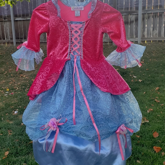 Princess Paradise | Costumes | Princess Paradise Pink Blue Princess ...